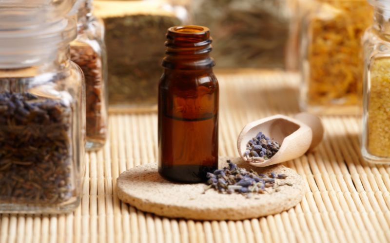 Macérâts Huileux : Comment les Préparer et Profiter de Leurs Bienfaits ...