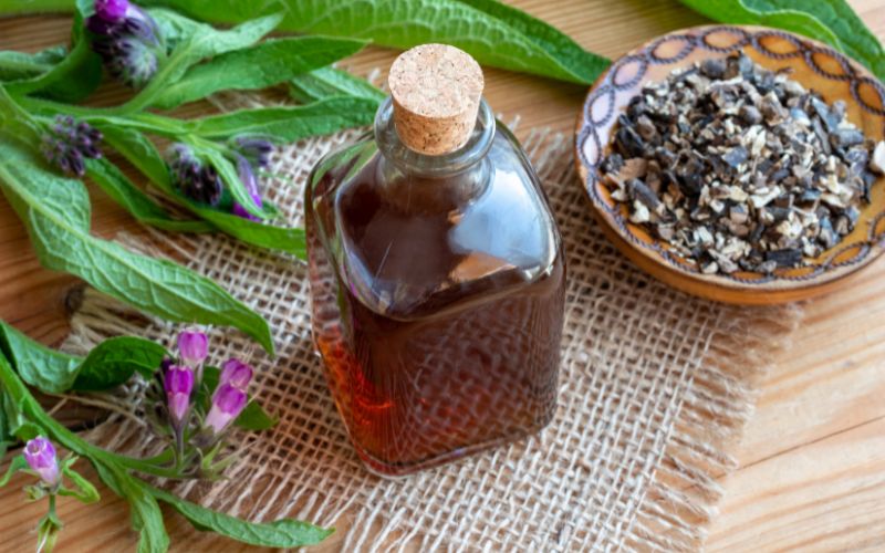 Macérats et Teintures Mères : Différences et Usages des Extraits de ...